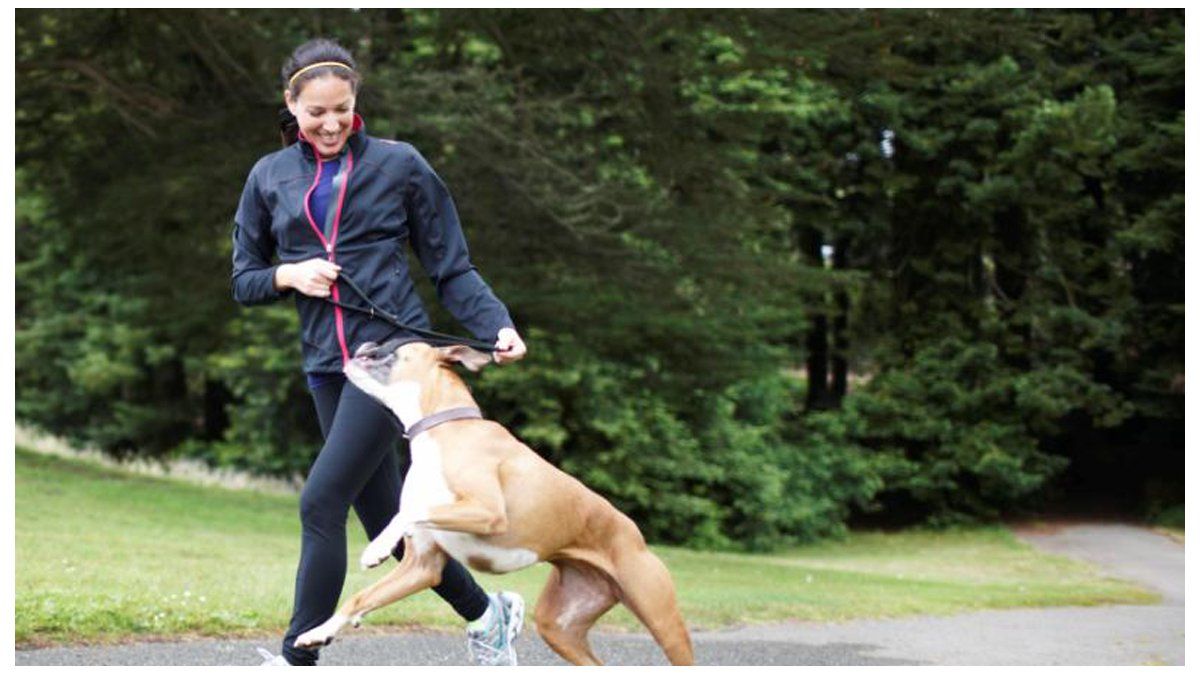 El placer de salir a correr con tu perro