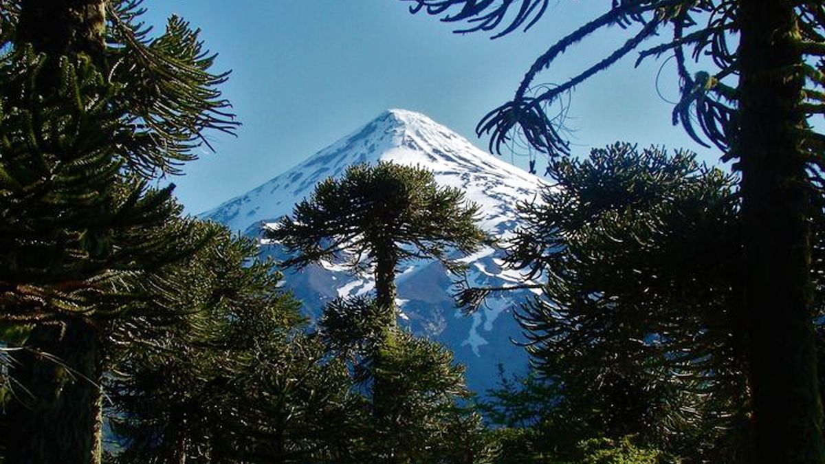 Cierran el Lanín al turismo por seis días: ¿Cuáles son los motivos?