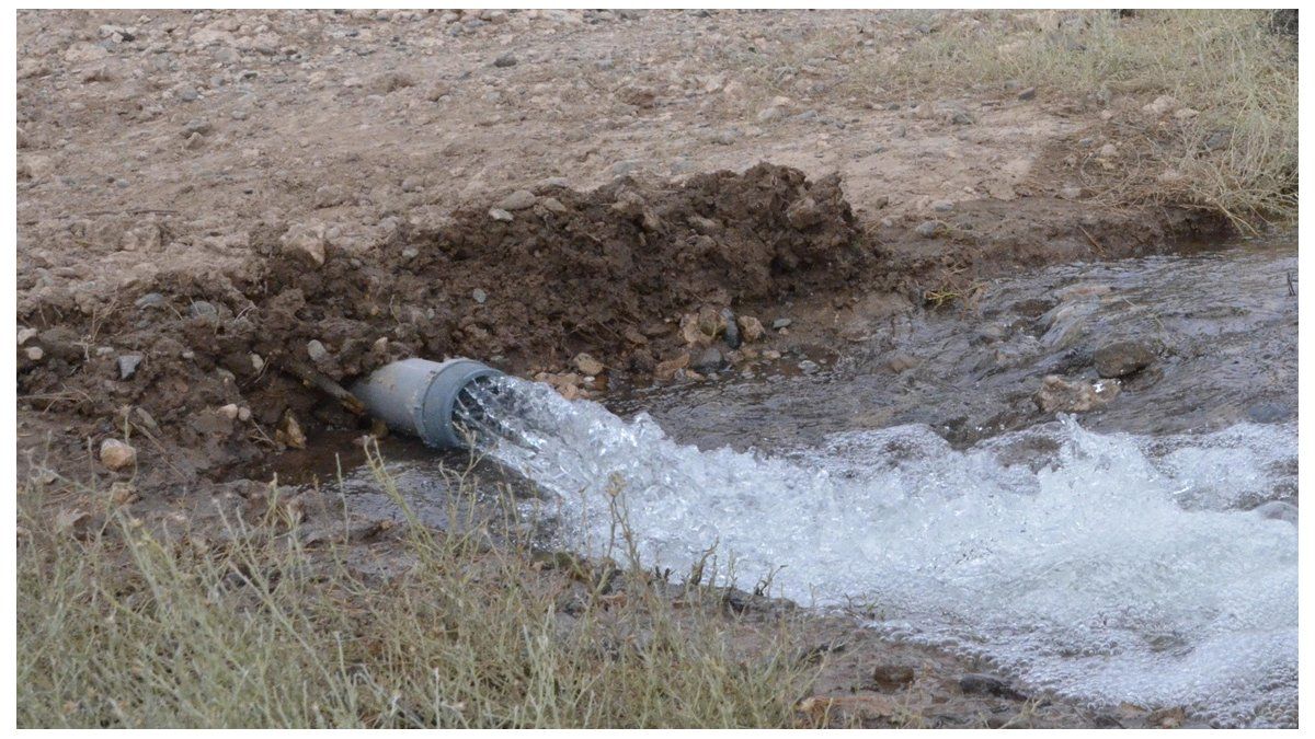 Mejoraron el sistema de riego para los árboles